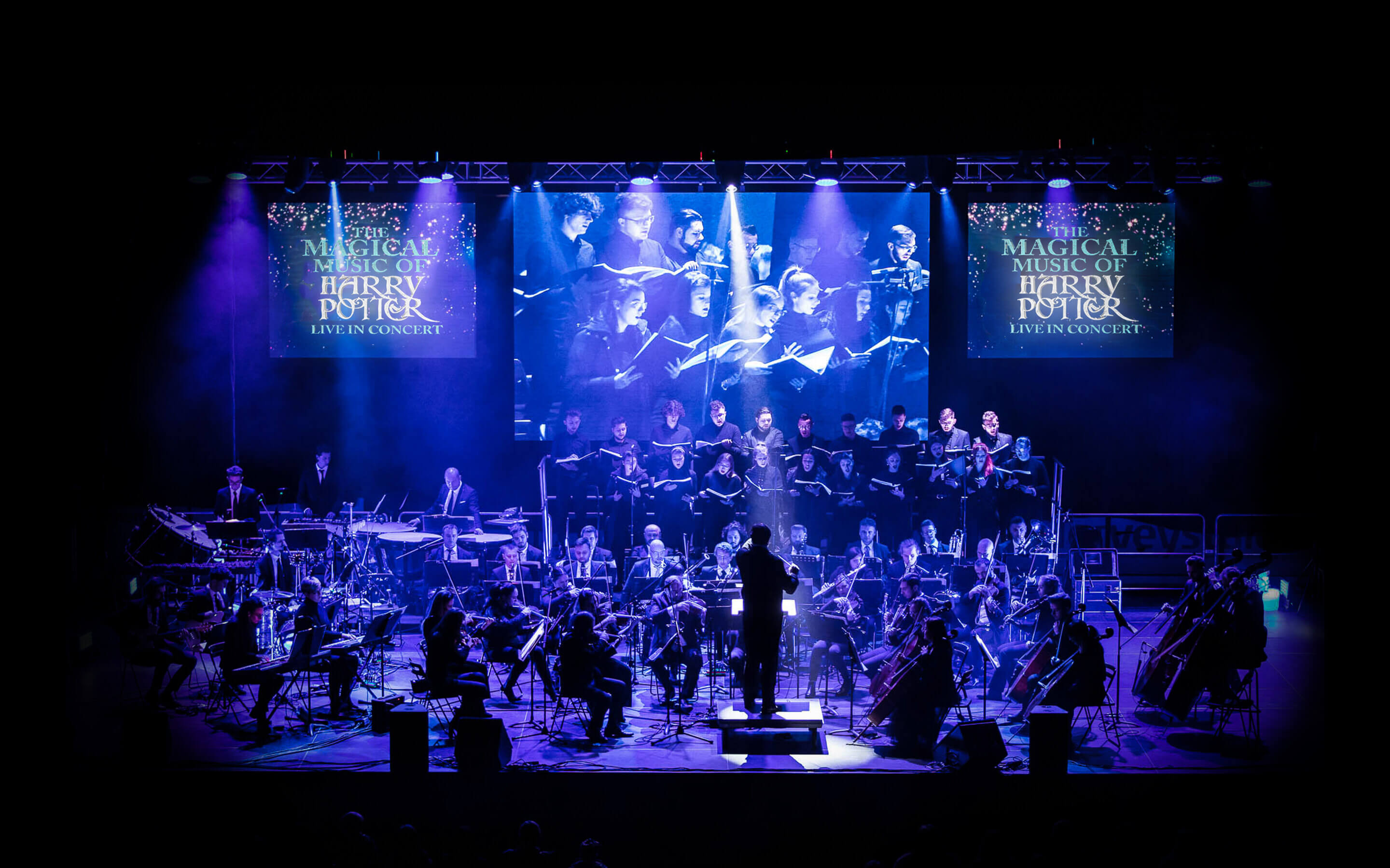 THE MAGICAL MUSIC OF HARRY POTTER – LIVE IN CONCERT - Bord Gáis Energy ...